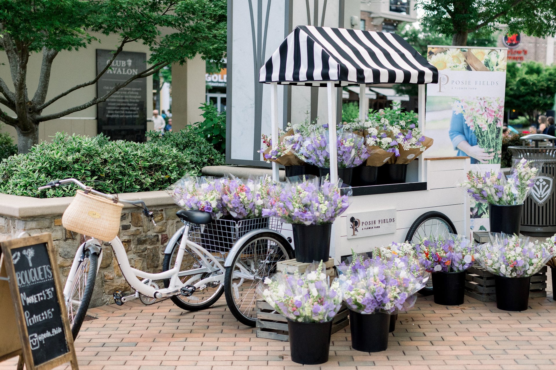 The Posie Cart – Posie Fields