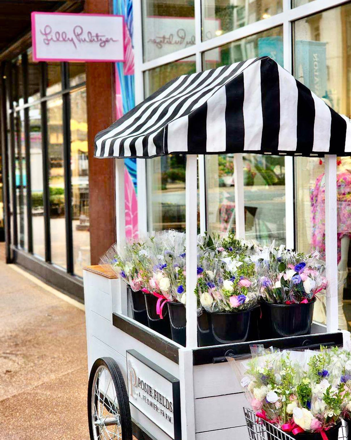 The Posie Cart – Posie Fields